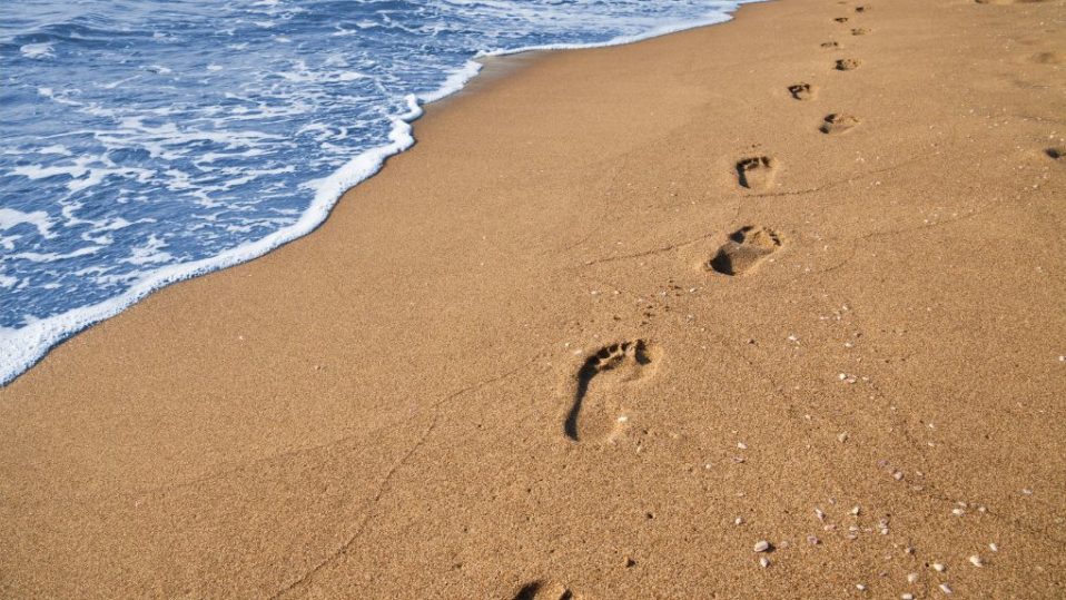 Great Lent Week #2 Challenge – Follow His Footsteps back to the Garden ...